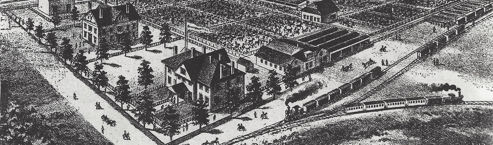 To Market: The Timeline - Colorado Railroad Museum