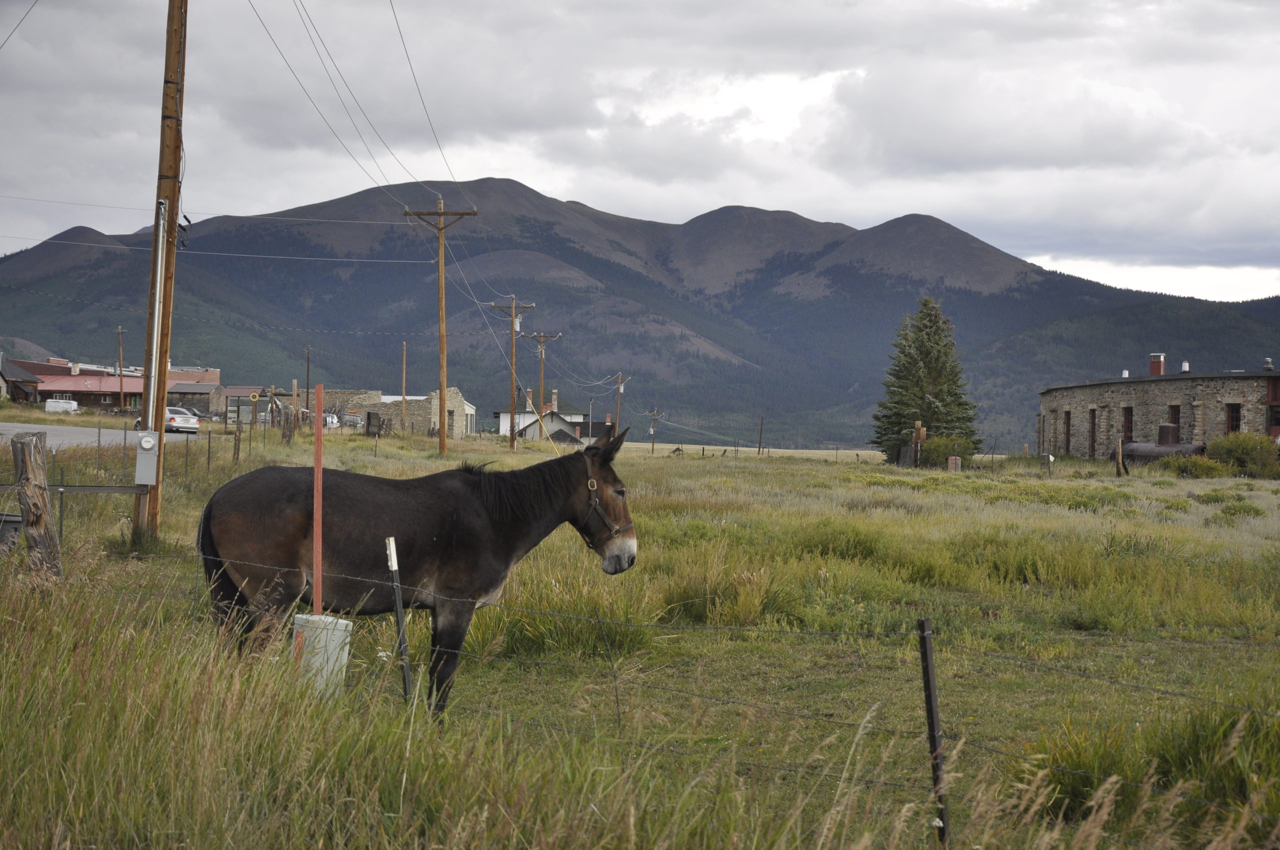 Home - Colorado Railroad Museum